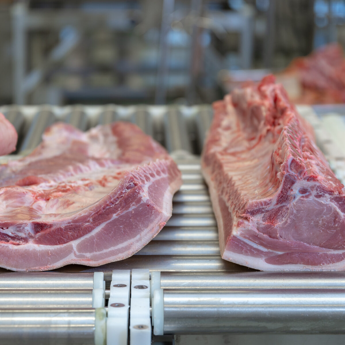 JSR Genetics discuss why fat is so important on pork