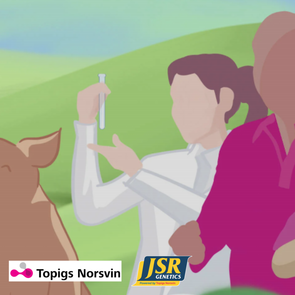Topigs Nosvin Online Magazine, Progress out now